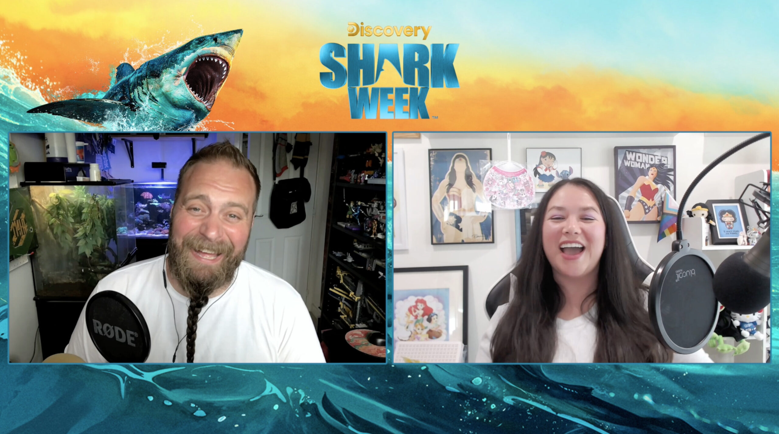 Adventures with "The Blowfish": A Dive into Shark Week - People of Con